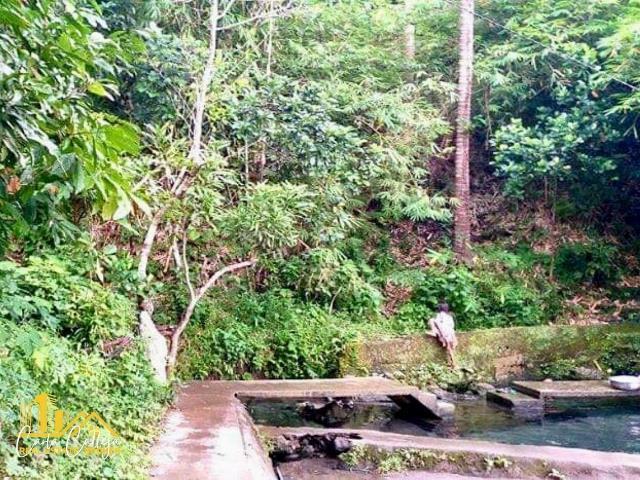 Farm Agri Lot with Natural Spring Water Pool Ligao Albay for Sale ...