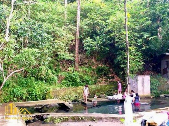 Farm Agri Lot with Natural Spring Water Pool Ligao Albay for Sale ...