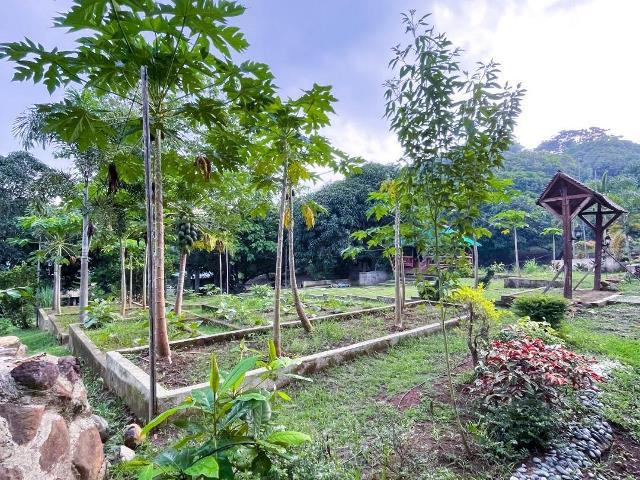 Farm lot for sale in Nasugbu Batangas 80,000 sq.m, Property, For Sale ...