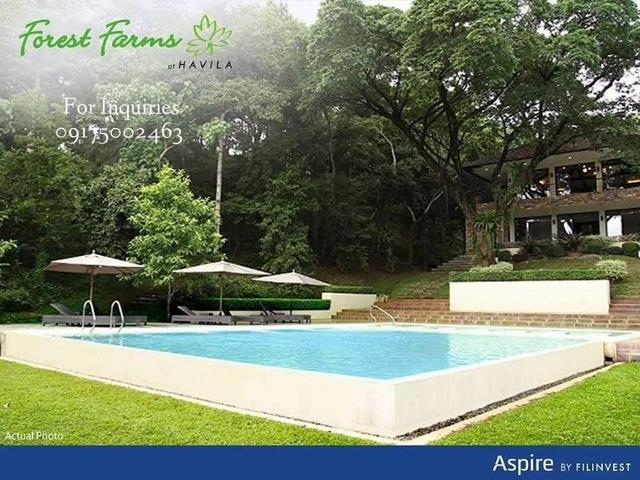 Farm Lot in Angono Rizal Near Antipolo, Property, For Sale, Lot on ...