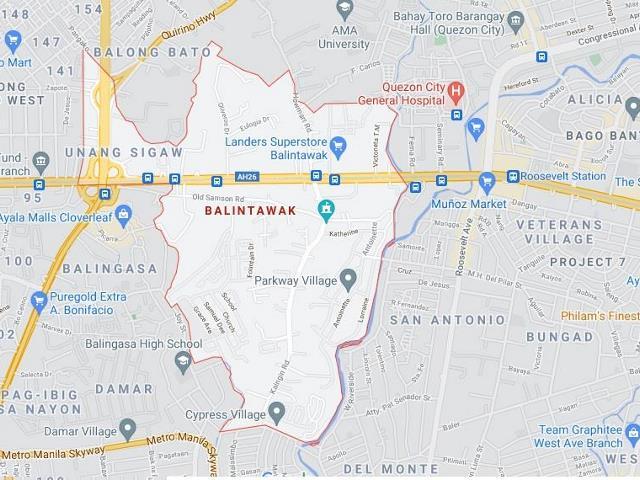 Balintawak, Quezon City - Commercial Lot for Sale, Property, For Sale ...