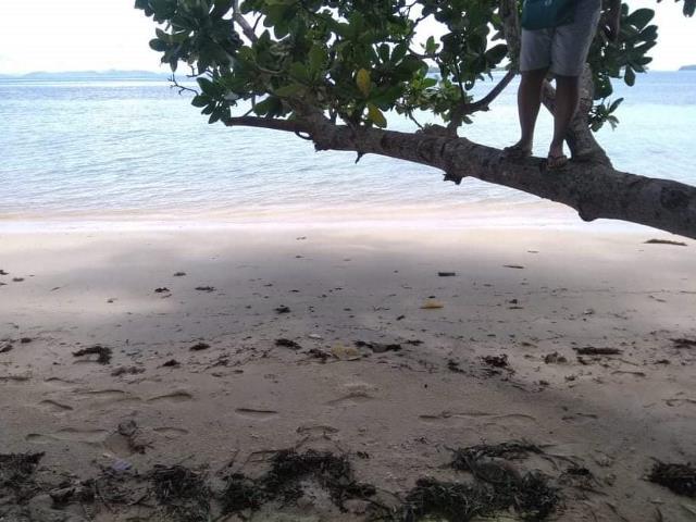 Beach Lot for Sale in El Nido Palawan, Property, For Sale, Lot on Carousell