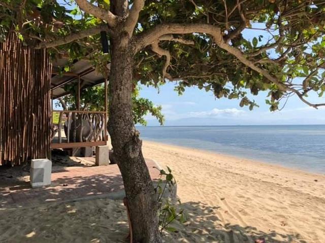 Playa calatagan seaside lot 300 meters away to the beach and clubhouse ...