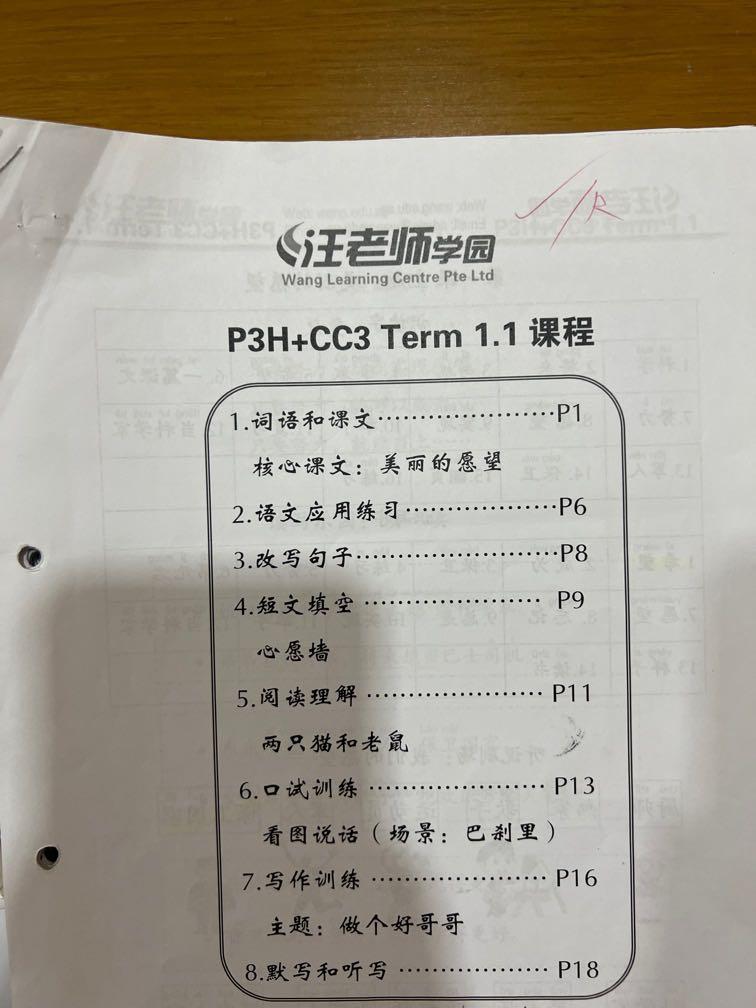 2021 P3 Full set Wang learning centre 汪老师 Chinese worksheets 3 hours ...