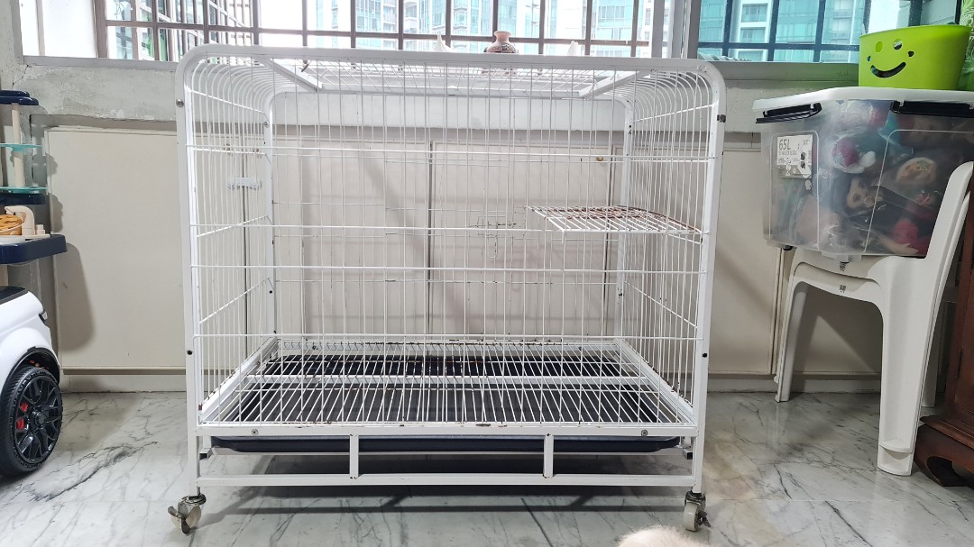 2 tier cat cage wheeled, Pet Supplies, Homes & Other Pet Accessories on ...