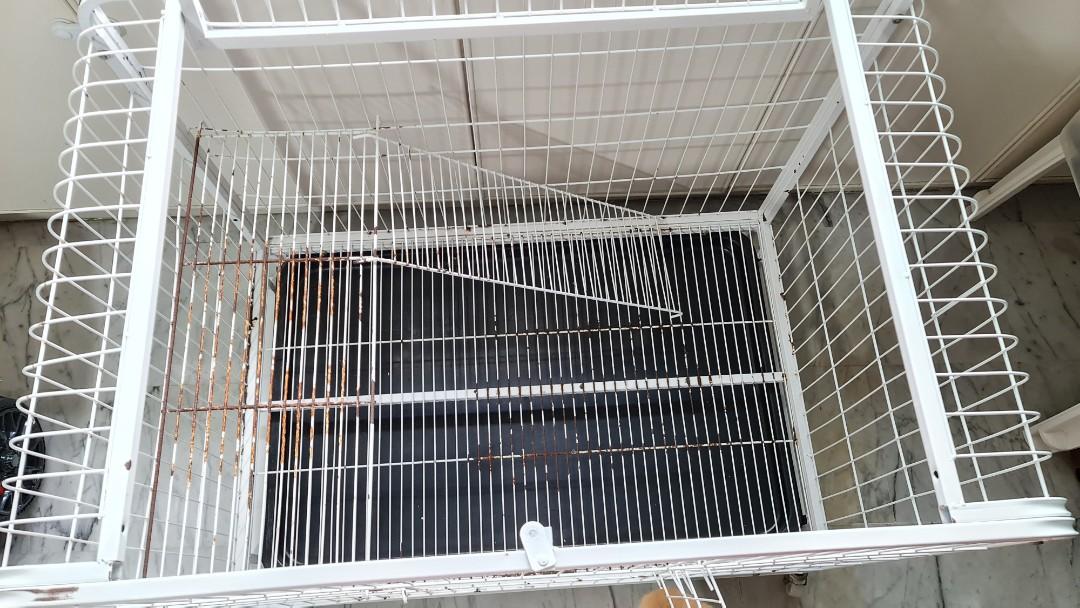 2 tier cat cage wheeled, Pet Supplies, Homes & Other Pet Accessories on ...