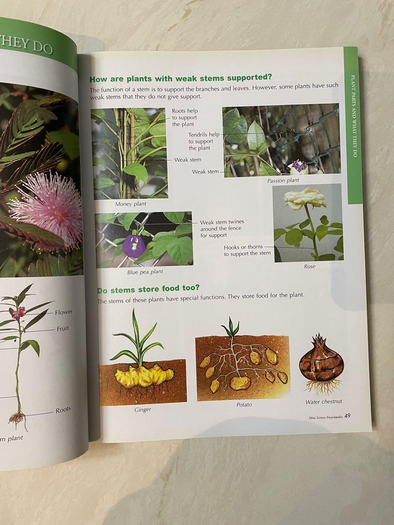 6th Edition Mini Science Encyclopedia, Hobbies & Toys, Books ...