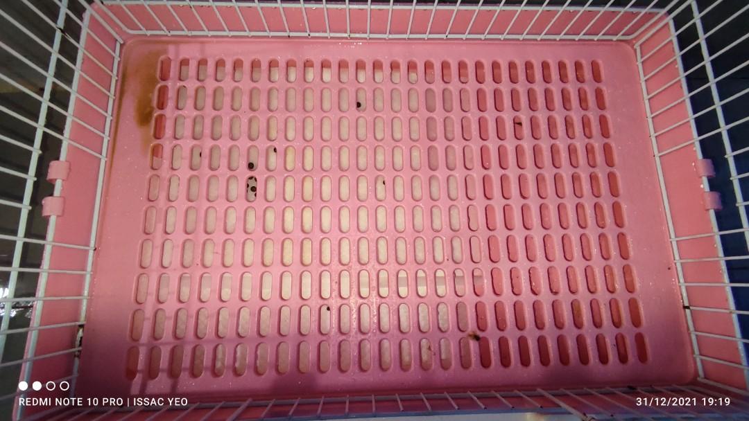 Pink rabbit cage, Pet Supplies, Homes & Other Pet Accessories on Carousell