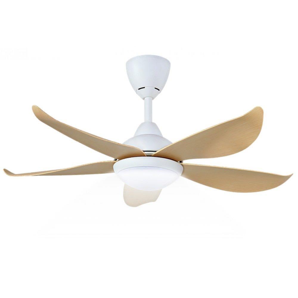 Alpha Ceiling Fan, Furniture & Home Living, Lighting & Fans, Lighting ...