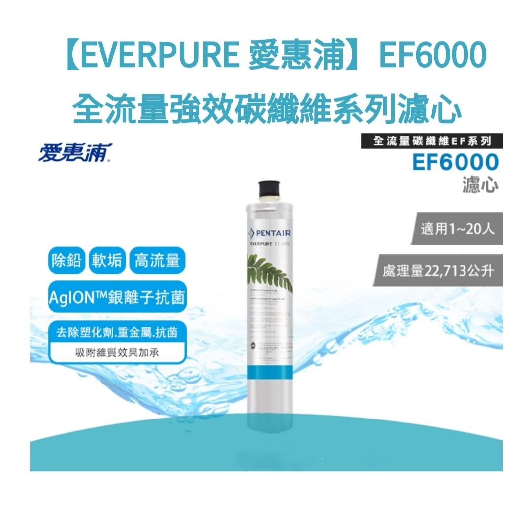 【EVERPURE 愛惠浦】EF-6000 醫療級全流量強效碳纖維系列淨濾心 ★0.5微米過濾力 ★碳纖活性碳、去除塑化劑、銀離子抗菌, 傢俬 ...