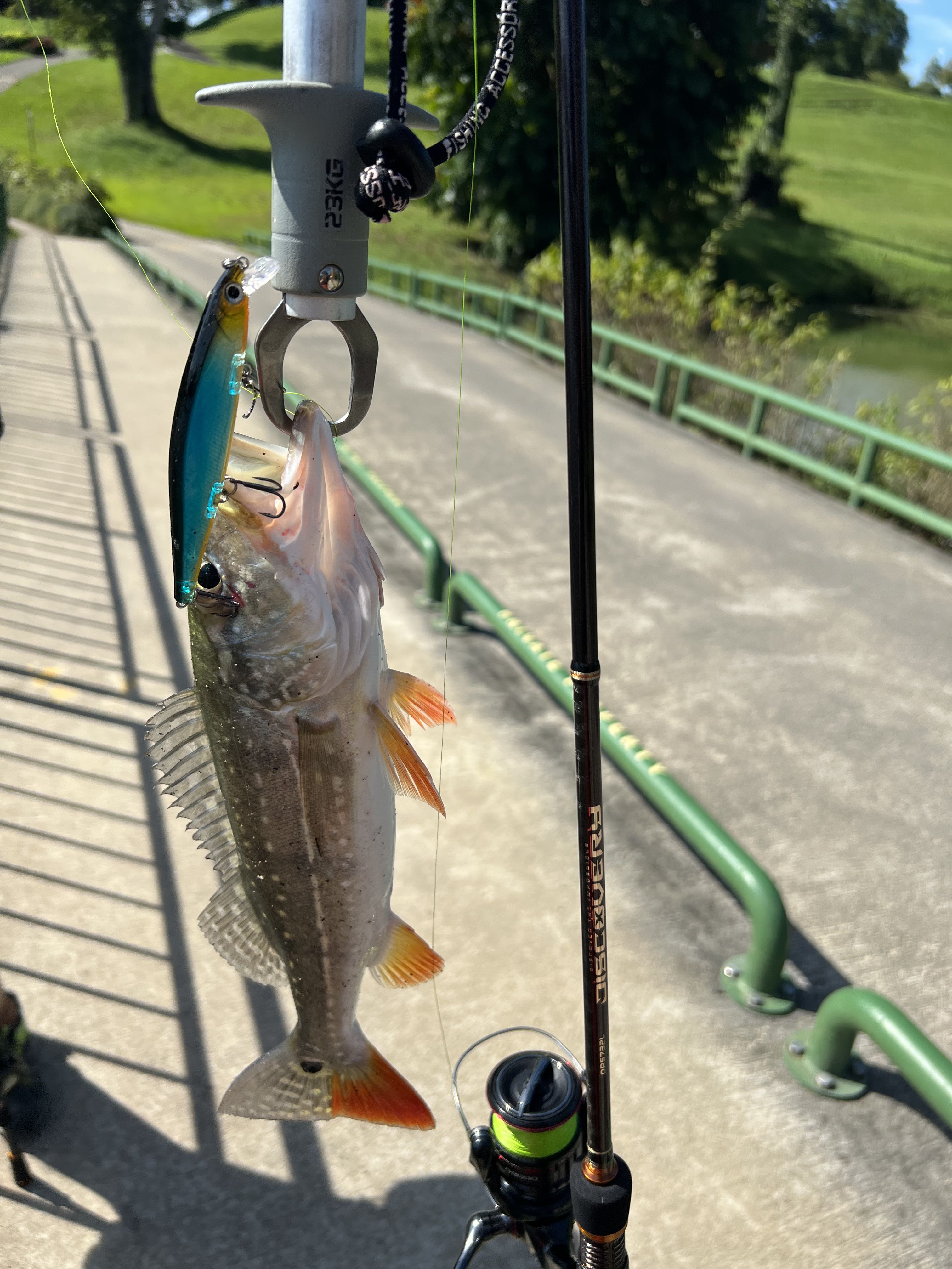 Storm Discovery 7’3” Spinning Rod, Sports Equipment, Fishing on Carousell