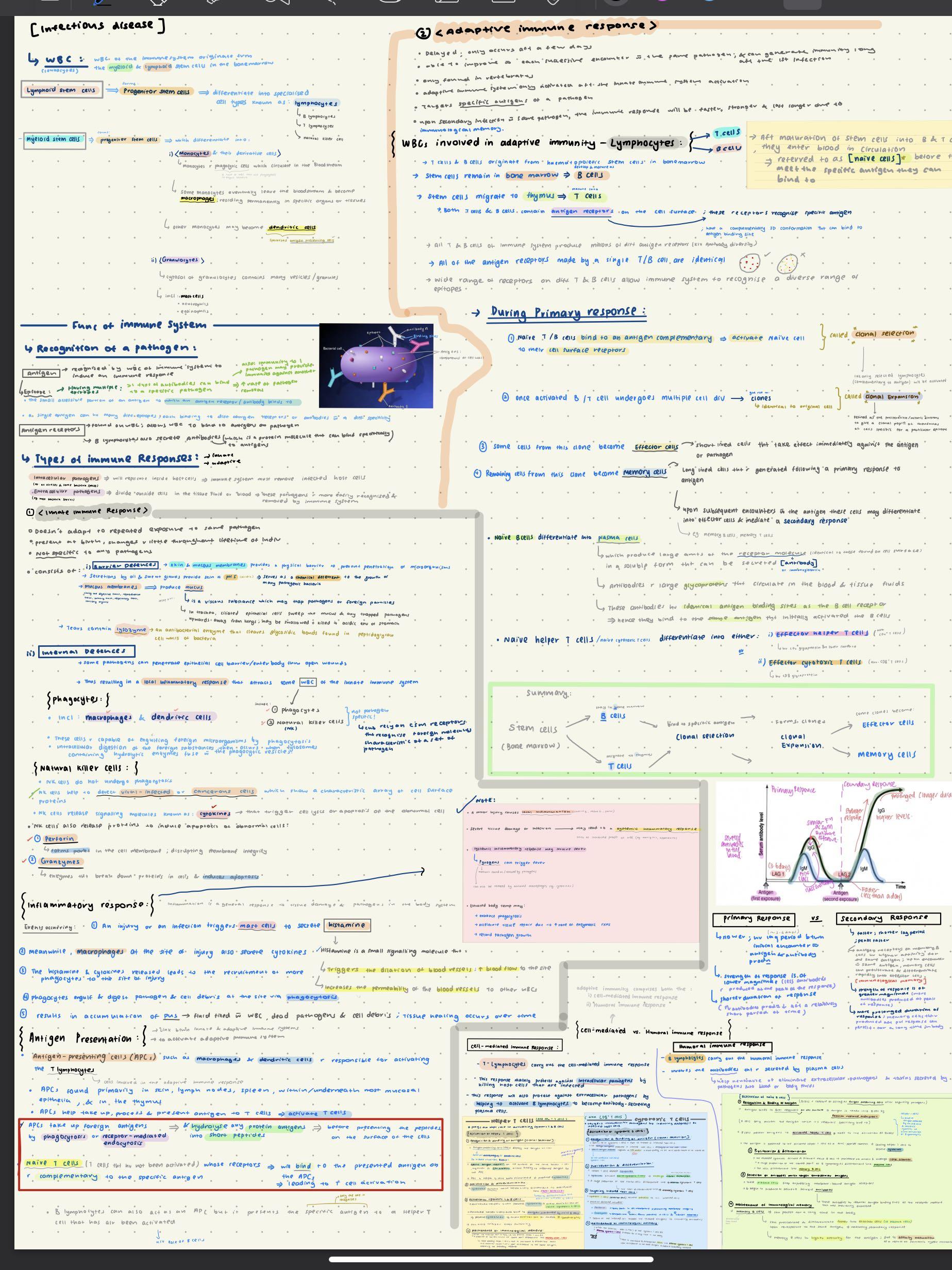 JC H2 BIOLOGY notes, Hobbies & Toys, Books & Magazines, Textbooks on ...