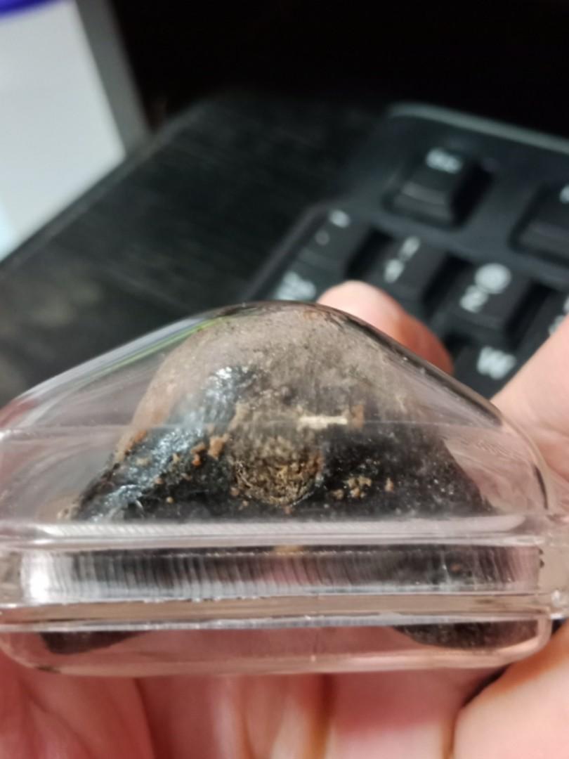 Lp kron snake skin pidta 2470+, Hobbies & Toys, Memorabilia ...