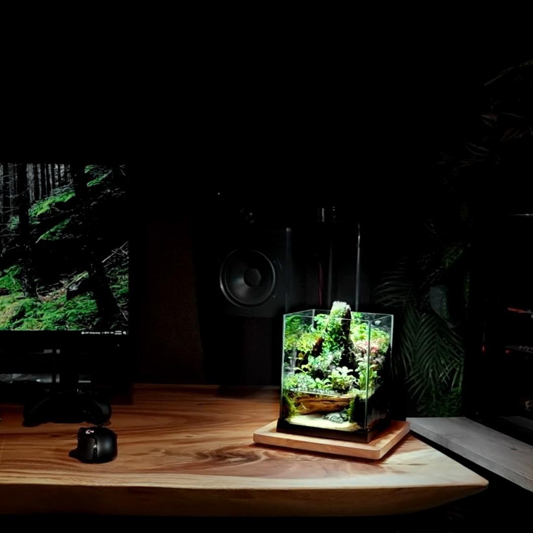 Mini Desktop Paludarium / Terrarium, Furniture & Home Living, Home ...