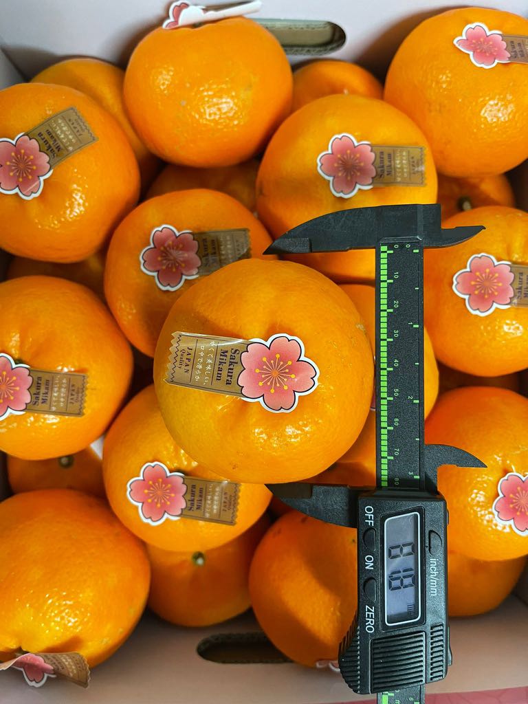 Sakura mikan, Food & Drinks, Fresh Produce on Carousell