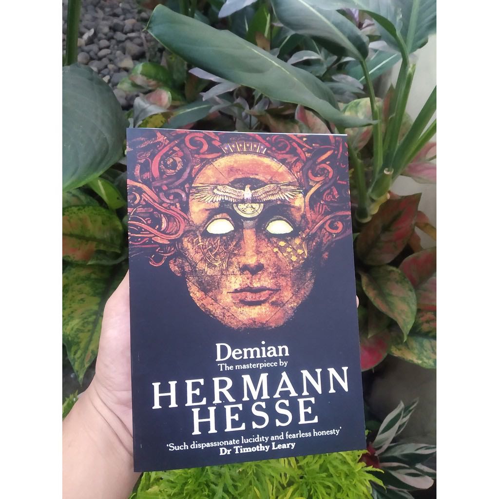 Book Demian by Hermann Hesse, Hobbies & Toys, Books & Magazines ...