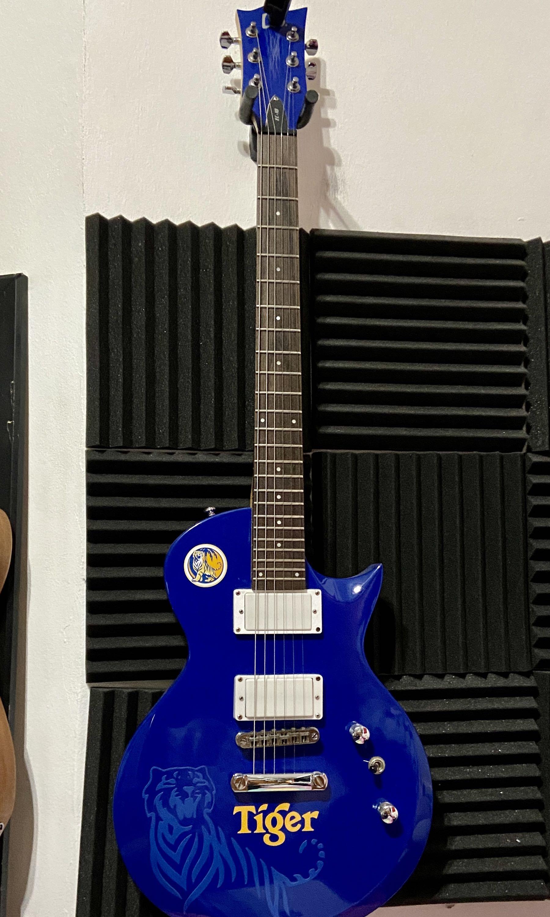 EC 10 ESP LTD Les Paul Tiger beer tribute, Hobbies & Toys, Music ...