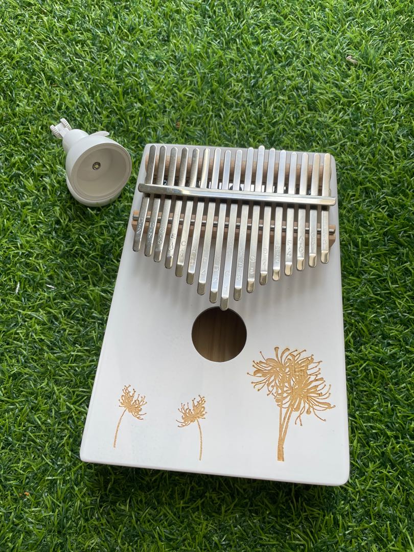 Kalimba - Gift Set, Hobbies & Toys, Music & Media, Musical Instruments ...