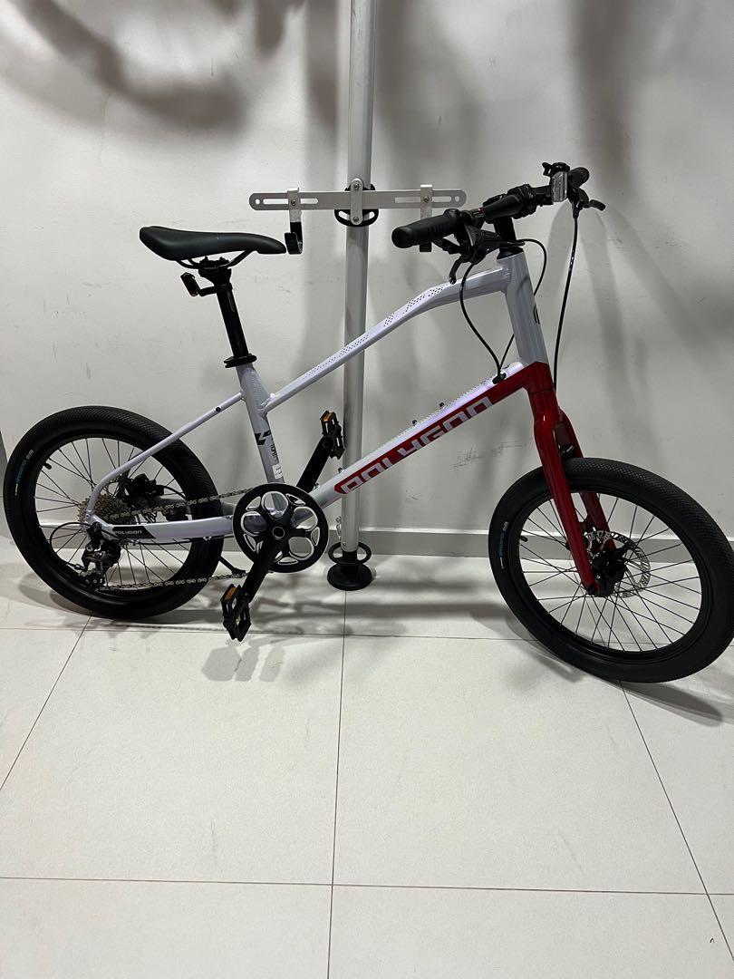 Polygon Zeta II (Limited edition), Sports Equipment, Bicycles & Parts ...