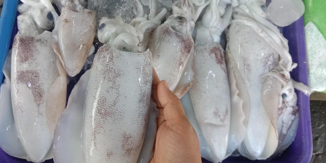 PUSIT LUMOT (SQUID), Food & Drinks, Other Food & Drinks on Carousell