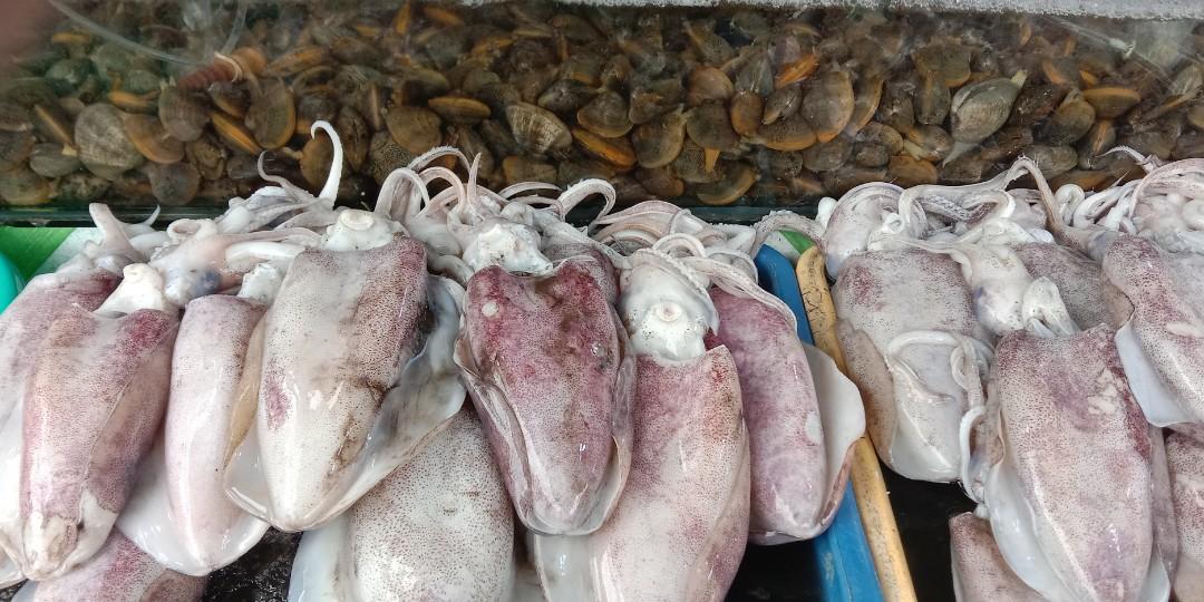 PUSIT LUMOT (SQUID), Food & Drinks, Other Food & Drinks on Carousell