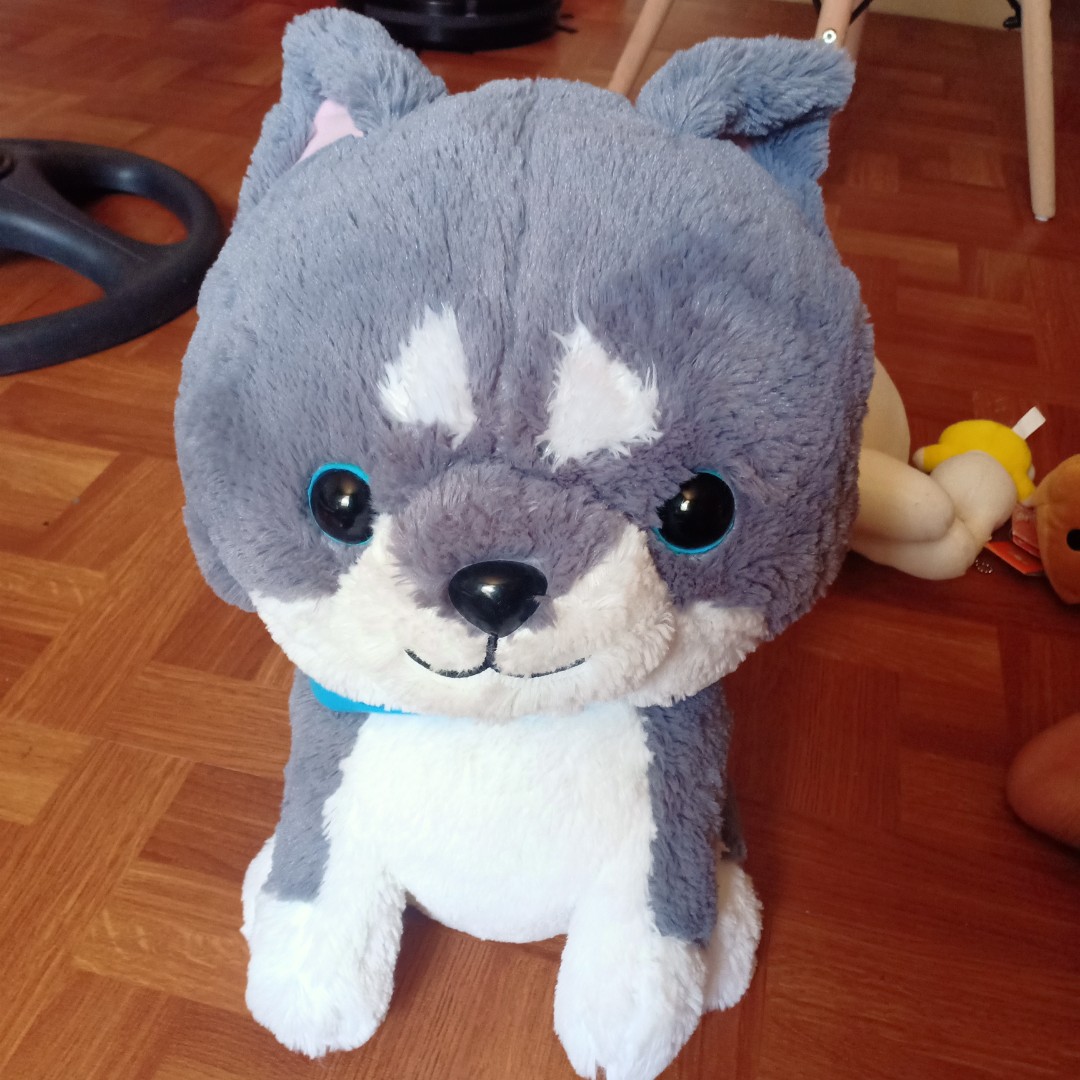 Shiba plushed toy, Hobbies & Toys, Toys & Games on Carousell