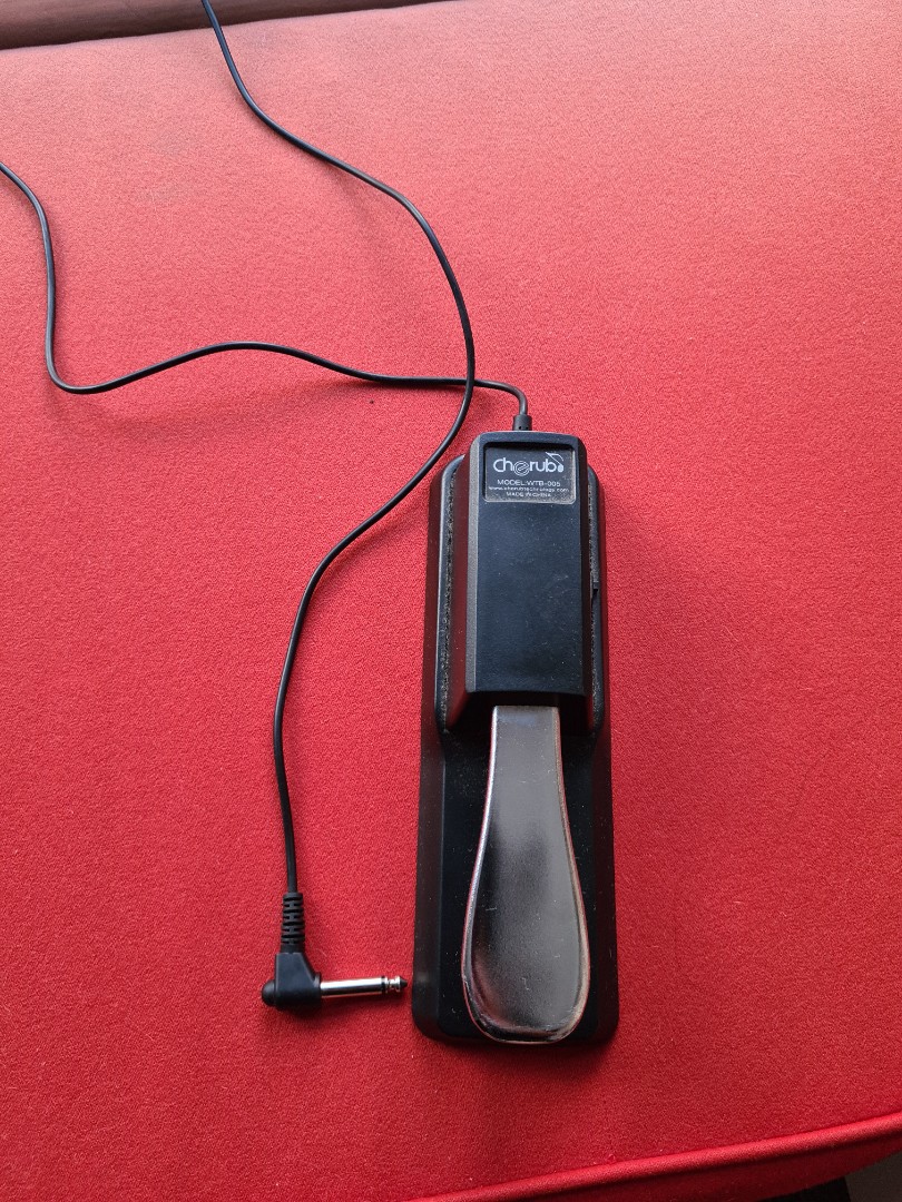 Sustain Pedal Music Media Music Instruments On Carousell sustain-pedal-music-media-music-instruments-on-carousell