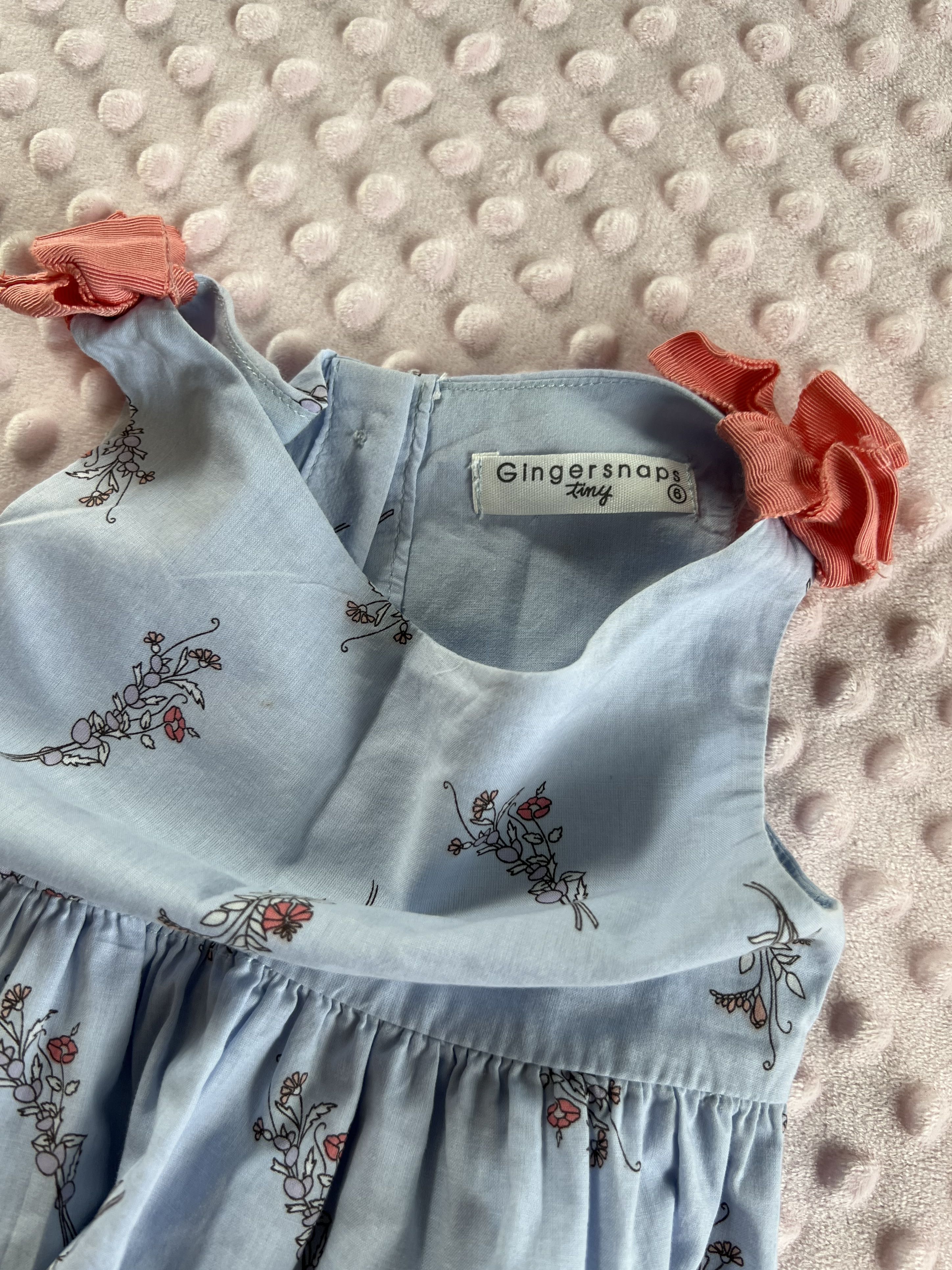 (3-6m) Gingersnap dress, Babies & Kids, Babies & Kids Fashion on Carousell