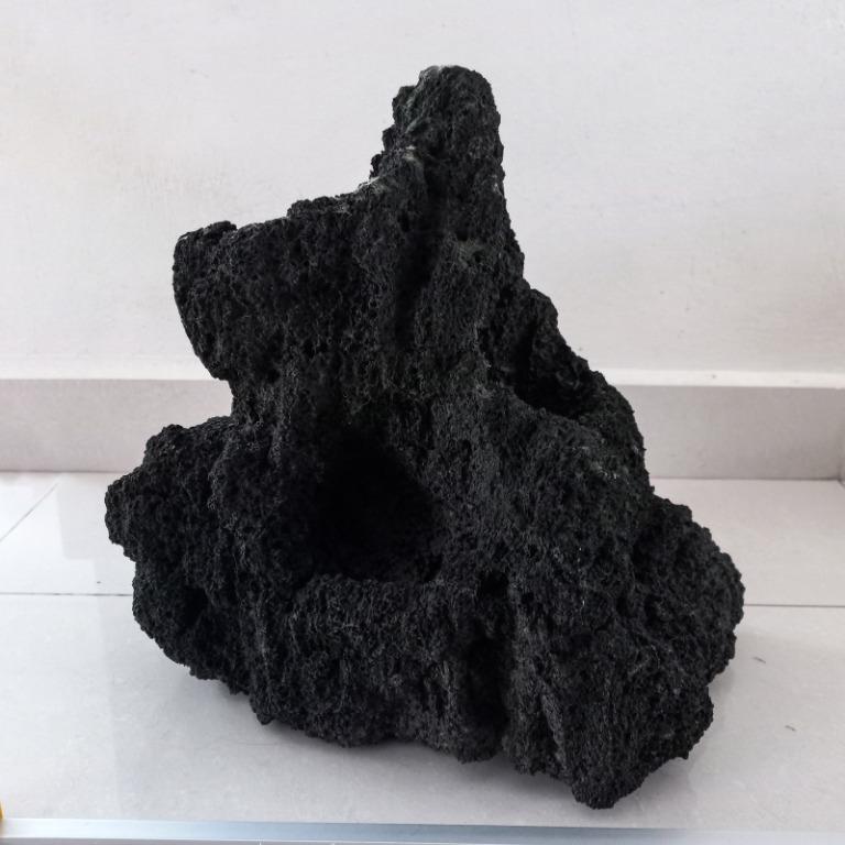 RARE ADA UNZAN Stone L Size Volcanic Lava Rock Mountain for Planted ...