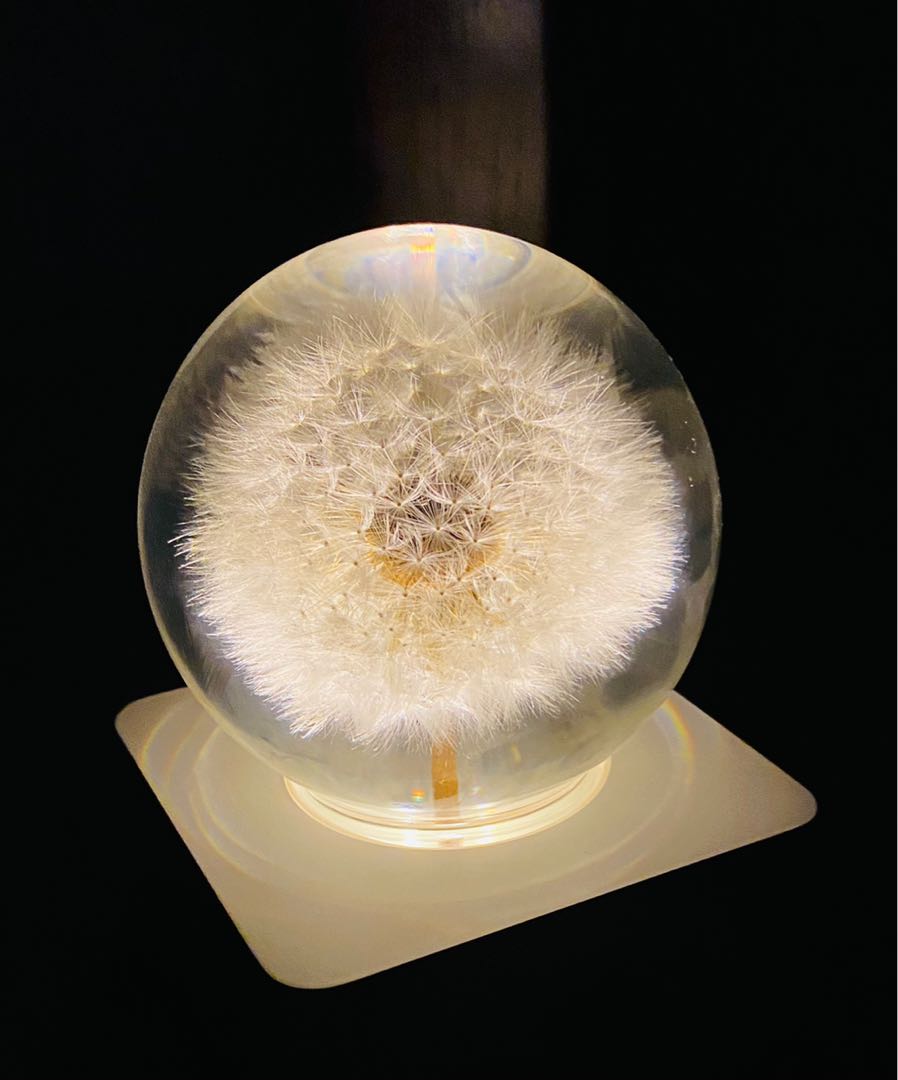 Dandelion Lamp, Furniture & Home Living, Lighting & Fans, Lighting on ...