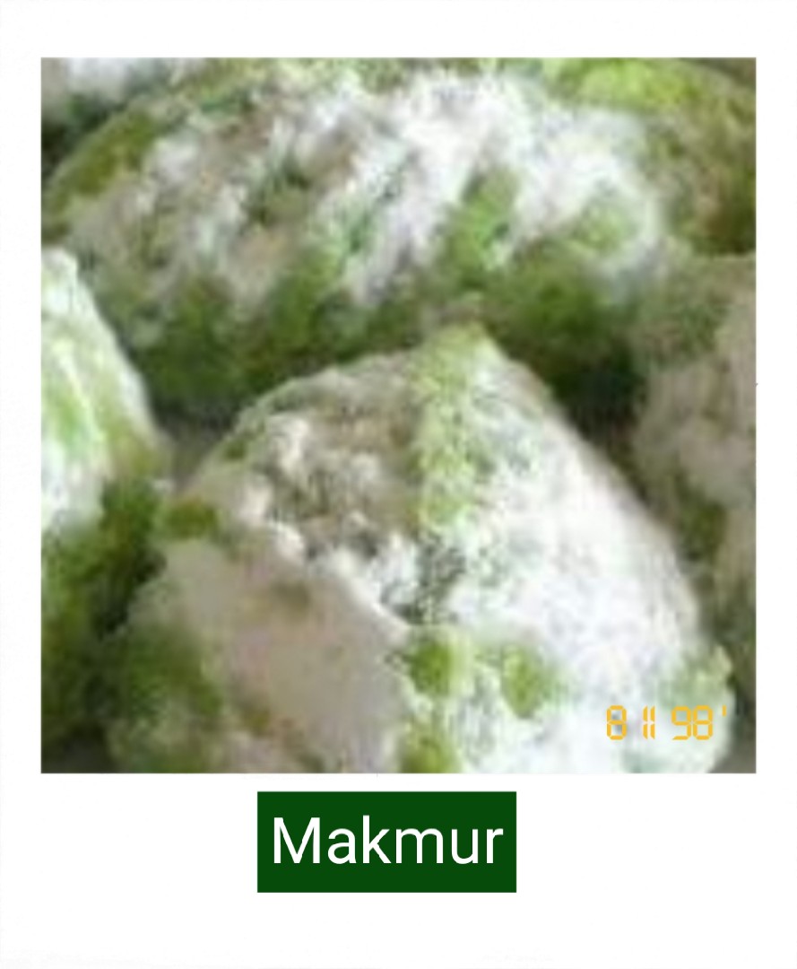 WEEKLY PREORDER KUIH MAKMUR KACANG, Food & Drinks, Homemade Bakes on ...