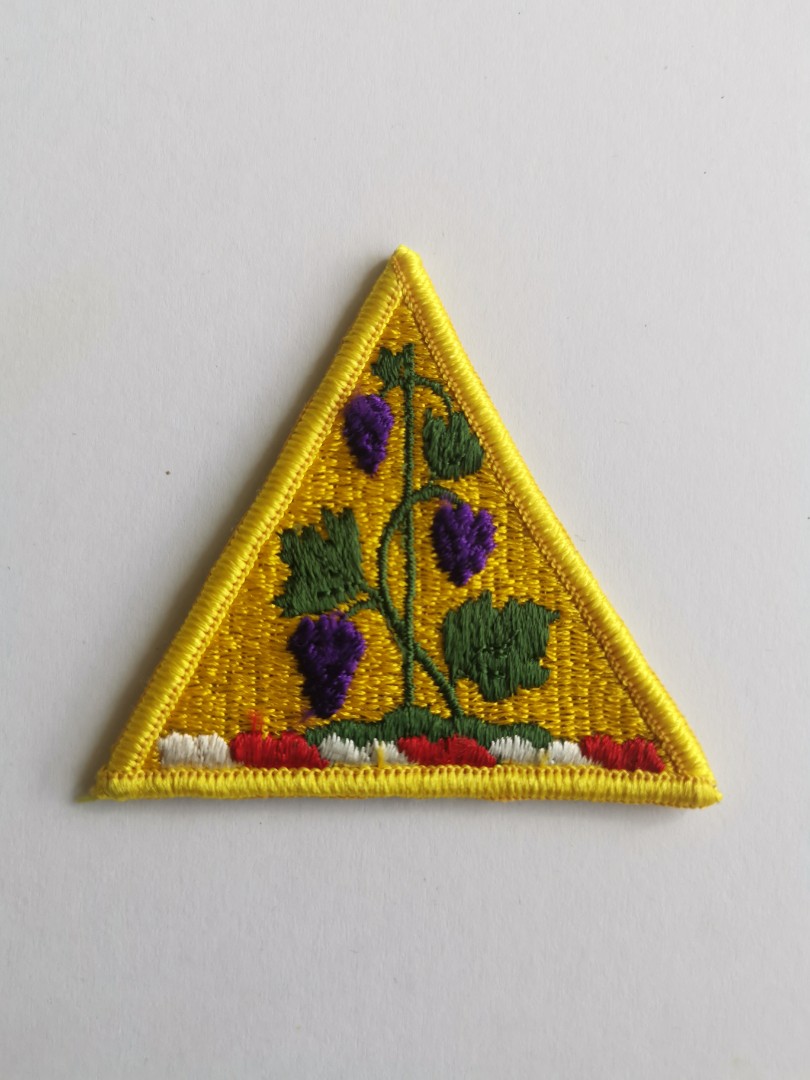 Connecticut Army National Guard, Joint Force HQ patch, Hobbies & Toys ...