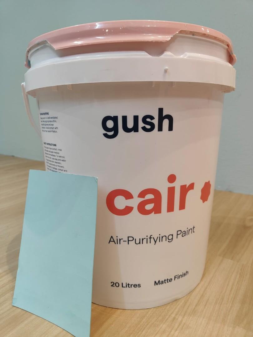 Gush 20 litres paint, Everything Else on Carousell