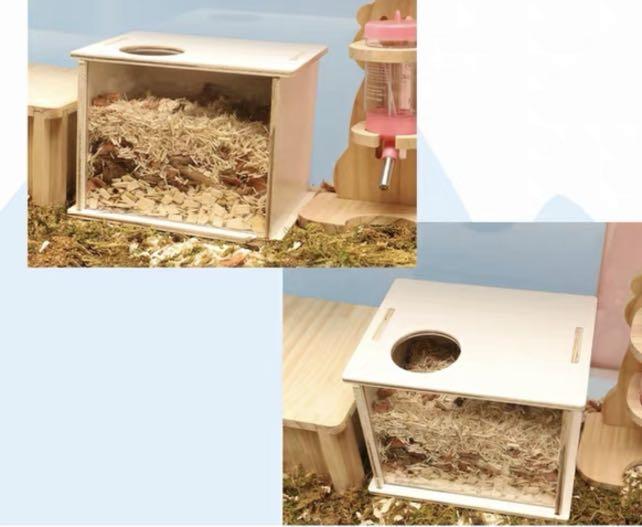 Hamster burrow box, Pet Supplies, Homes & Other Pet Accessories on ...