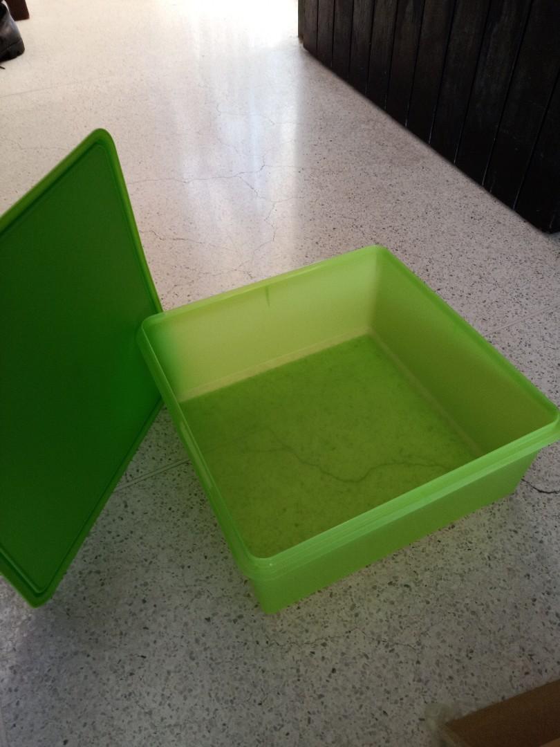 New Tupperware mega keeper 10.5L cake box container, Furniture & Home ...