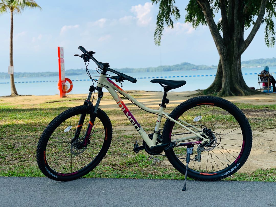 Polygon Cleo 2 - ladies mountain bike, Sports Equipment, Bicycles ...