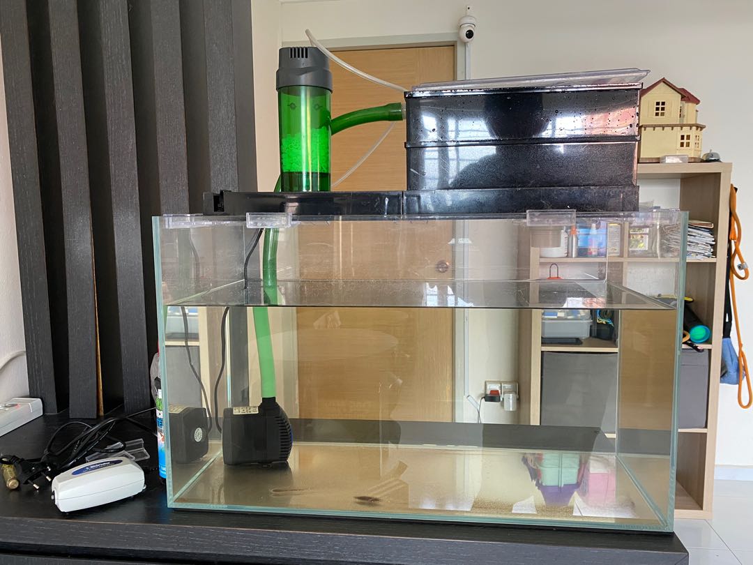 2 feet crystal glass tank with filter and media plug and play, Pet ...