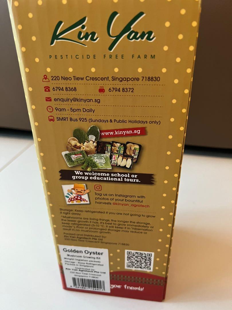 Kin Yan Mushroom Farmer Kit - Golden Mushroom, Furniture & Home Living ...