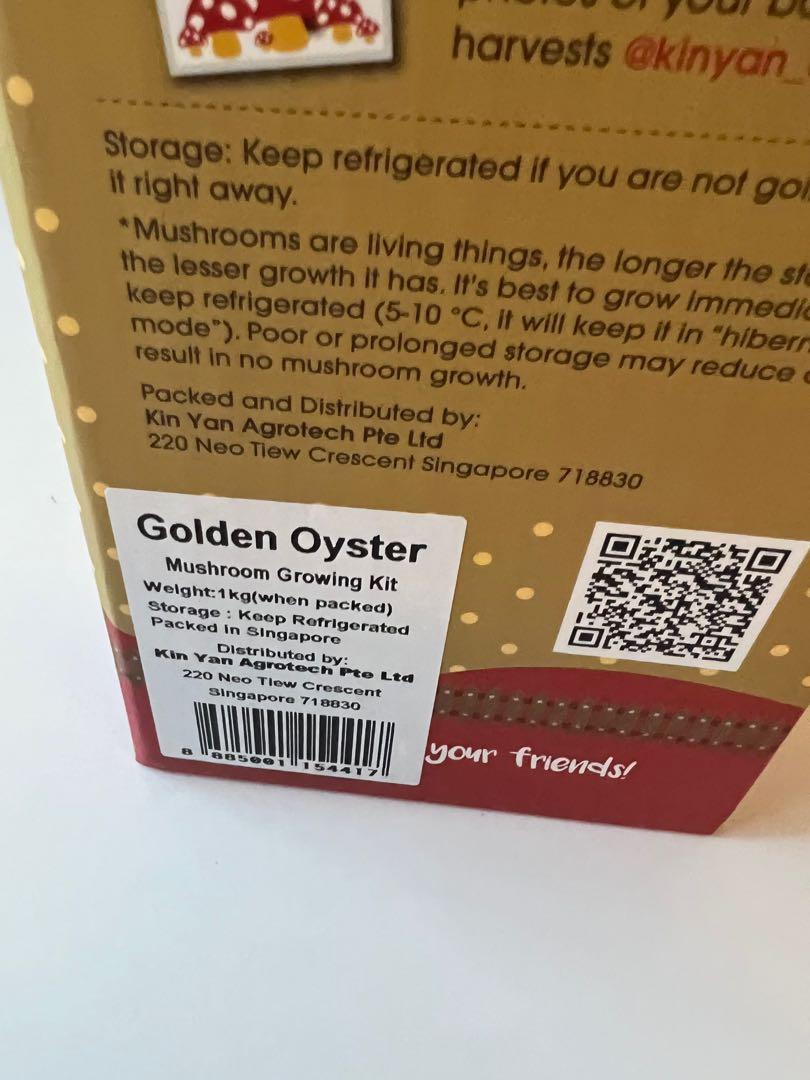 Kin Yan Mushroom Farmer Kit - Golden Mushroom, Furniture & Home Living ...