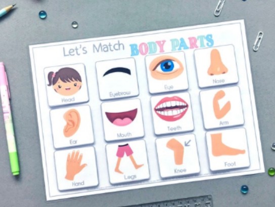 Match body parts folder task, Hobbies & Toys, Toys & Games on Carousell