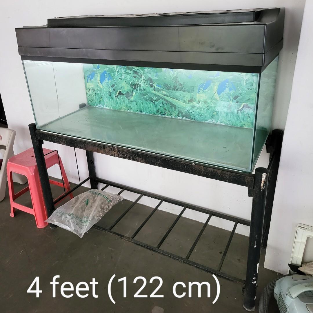 4 feet fish tank (122 x 46 x 42.5 cm) including fish tank metal stand ...
