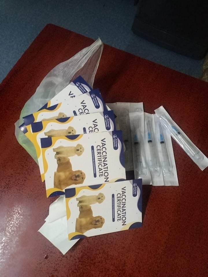 Anti rabies Dog vaccine, Pet Supplies, Homes & Other Pet Accessories on ...