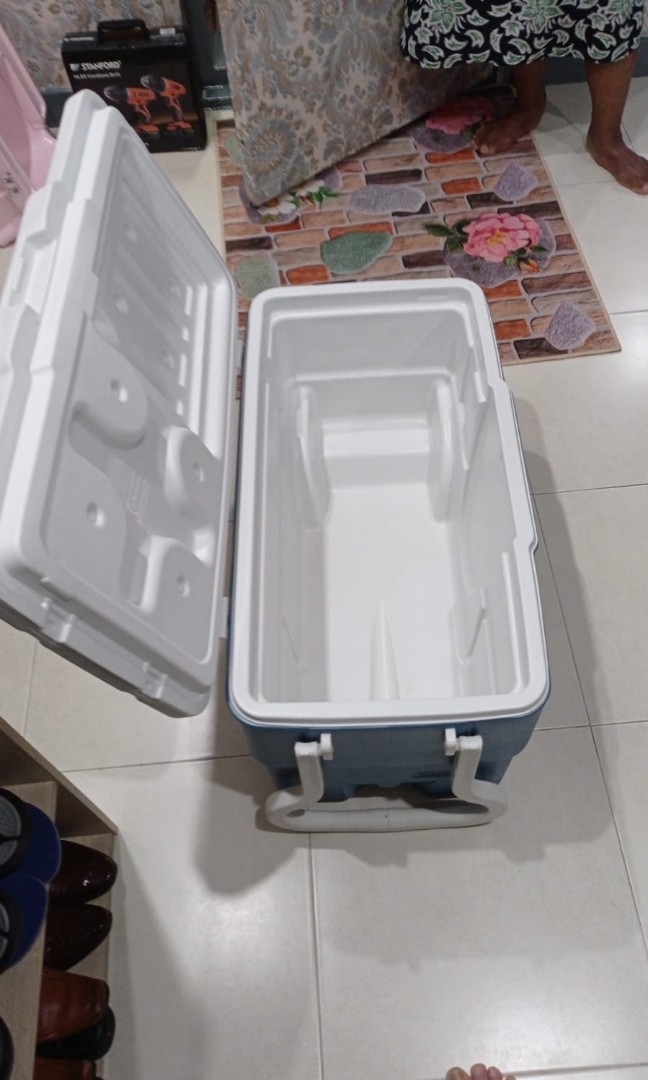 Coleman Cooler Box with Handle and Wheels, Everything Else on Carousell
