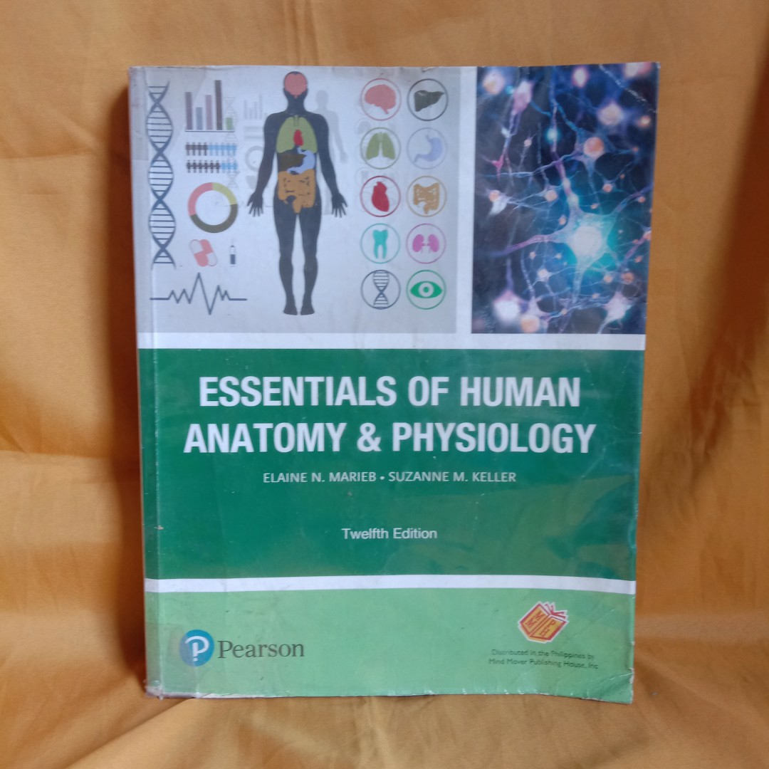 Essentials of human anatomy and physiology 12th edition, Hobbies & Toys ...