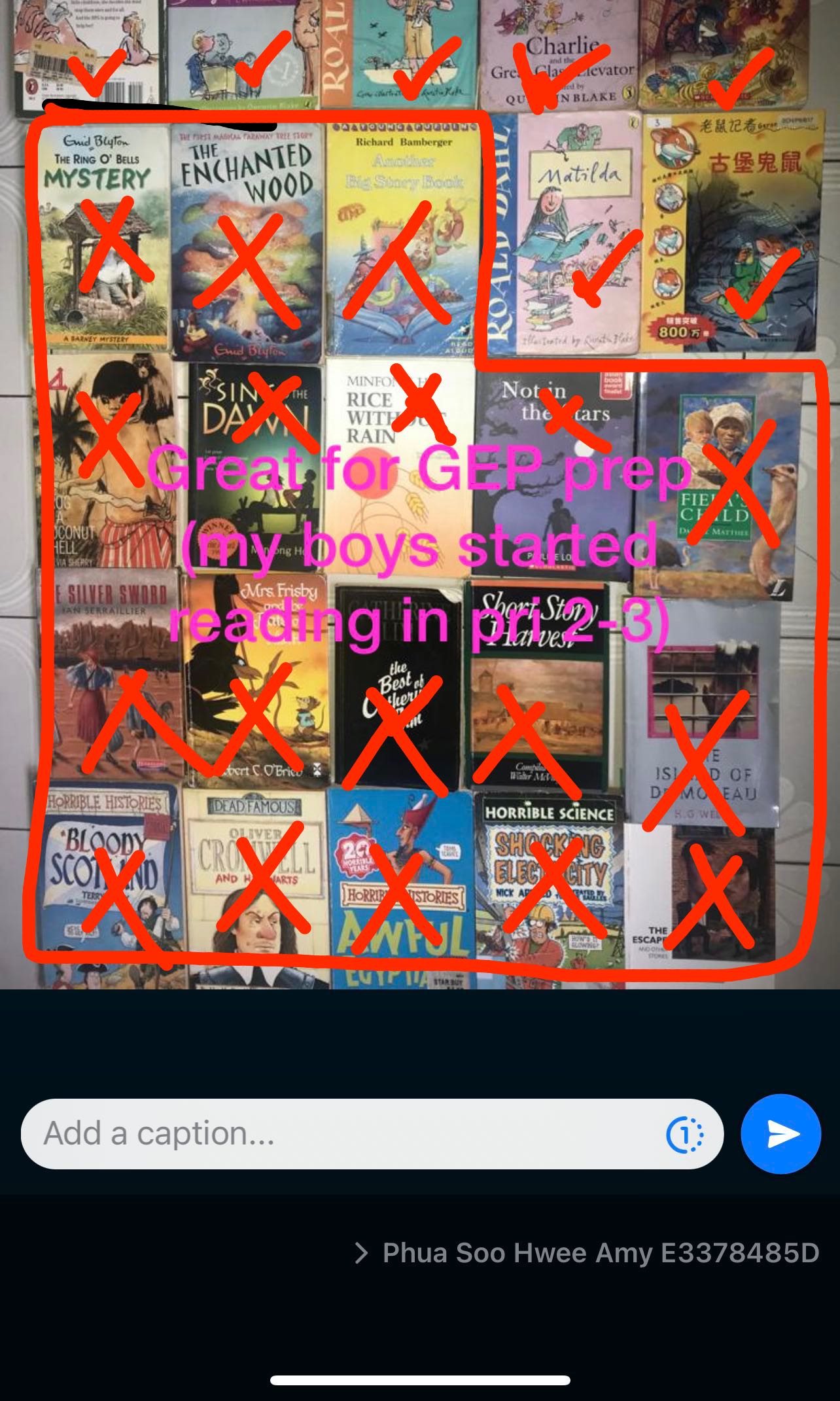 GEP storybooks & GEP prep/ pre primary gep prep/ psle Top school exam ...