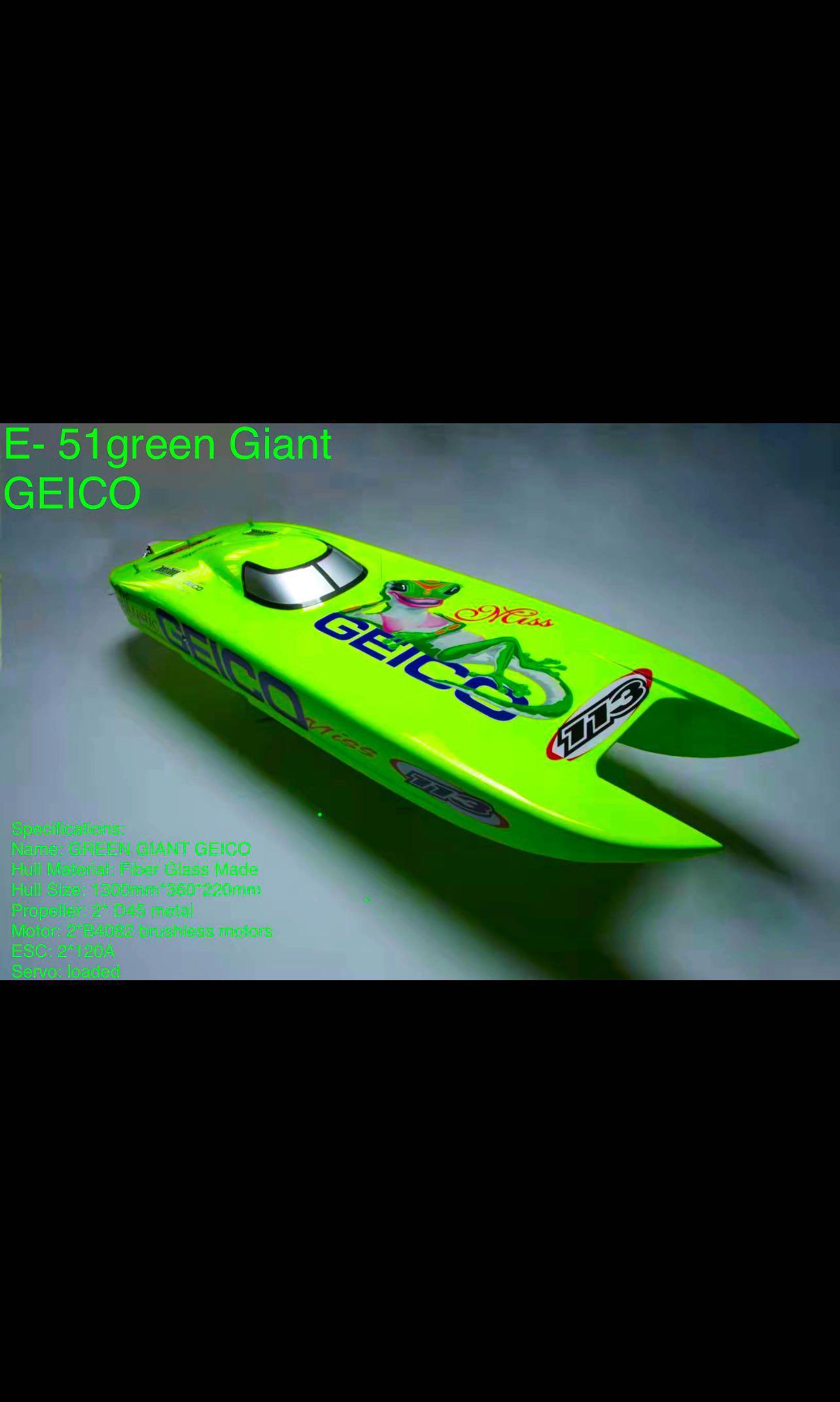 Rc Boat : E-51 DTRC catamaran Giant green , Hobbies & Toys, Toys ...