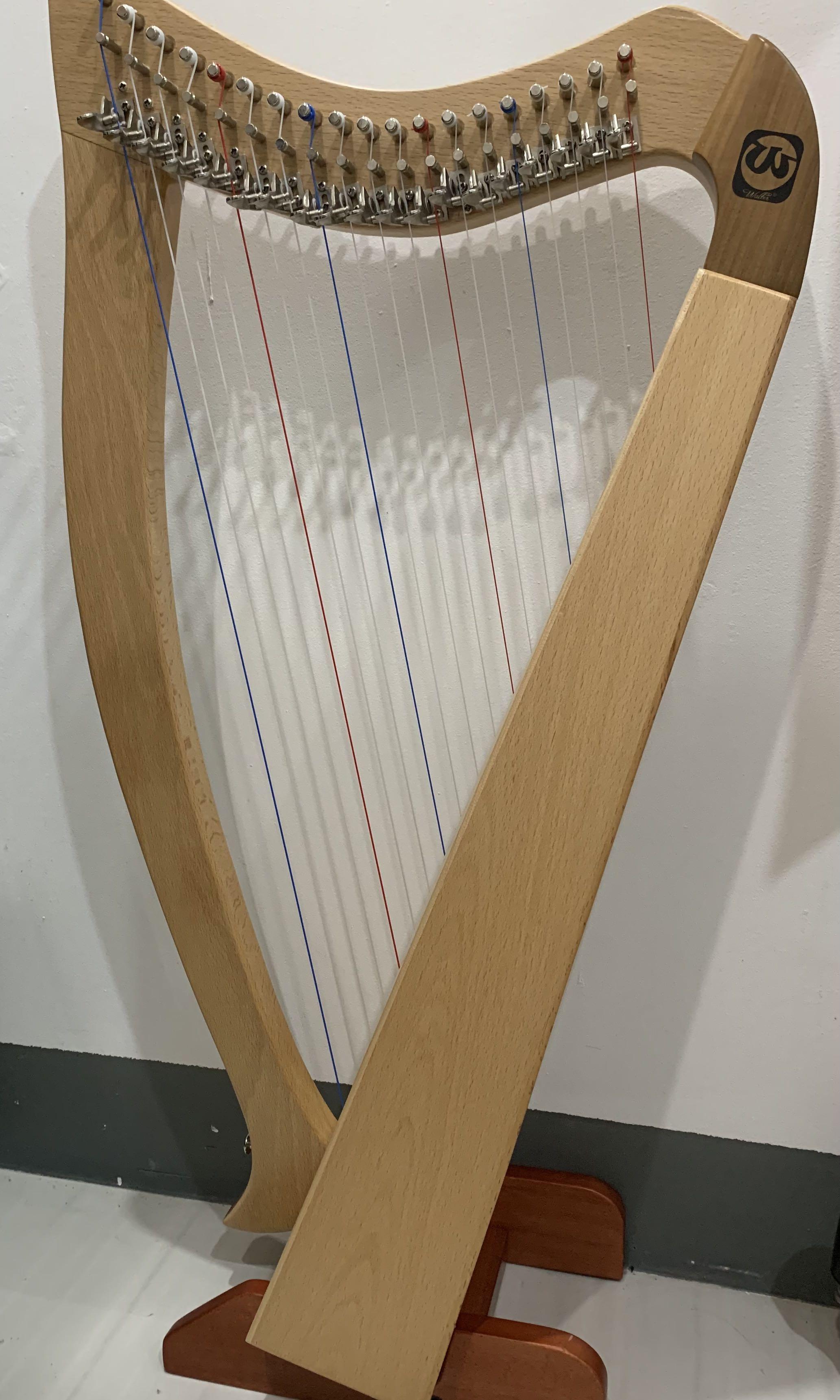 Walter 19 strings harp, Hobbies & Toys, Music & Media, Musical ...