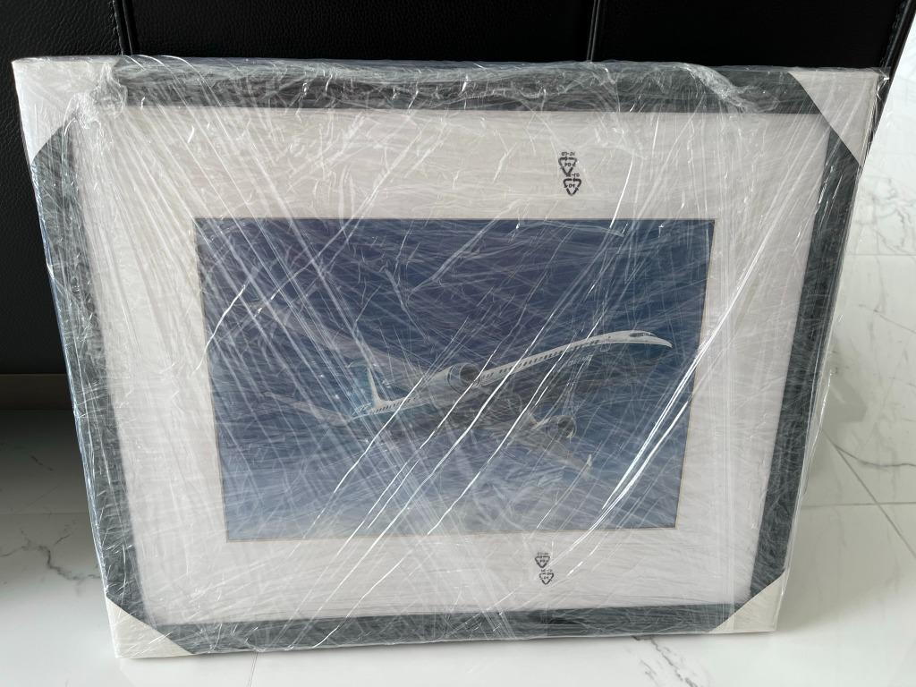 Boeing 737 Picture Frame Poster, Furniture & Home Living, Home Decor ...