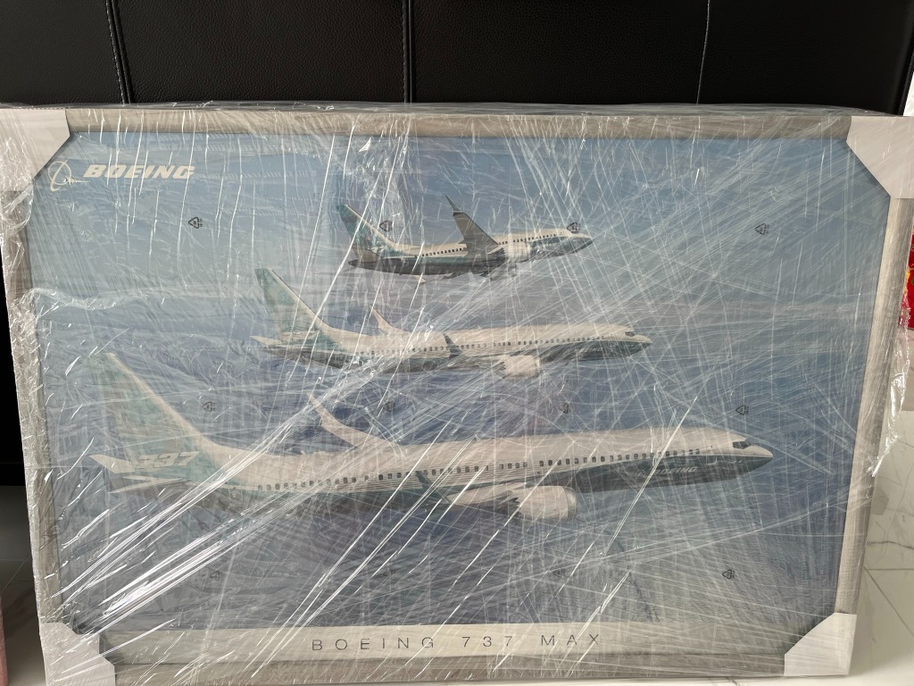 Boeing 737 Picture Frame Poster (Large), Furniture & Home Living, Home ...