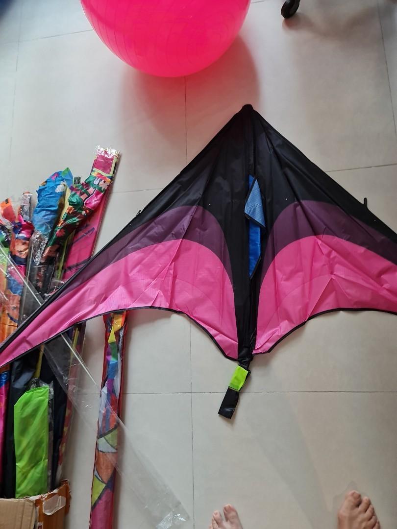 Kites for all ages (Robin Delta kite) FOC 260m string wheel, Sports ...